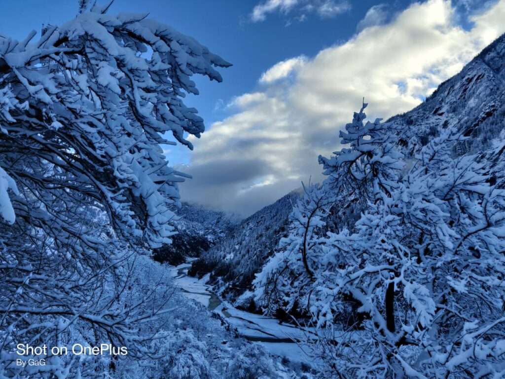 Harshil Valley Mini Switzerland - Great Adventure Gangotri
