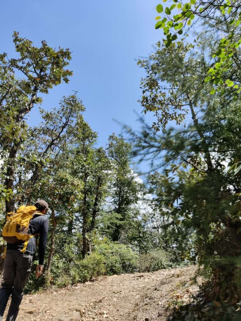 Karol Tibba Trek | Solan Trekking - Great Adventure Gangotri