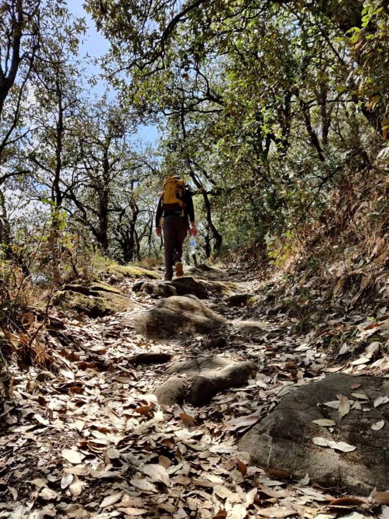 Karol Tibba Trek | Solan Trekking - Great Adventure Gangotri